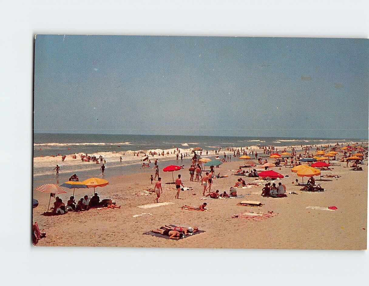 Postcard $5. Reward if you find me in this Crowd, Greetings Form Cosey ...