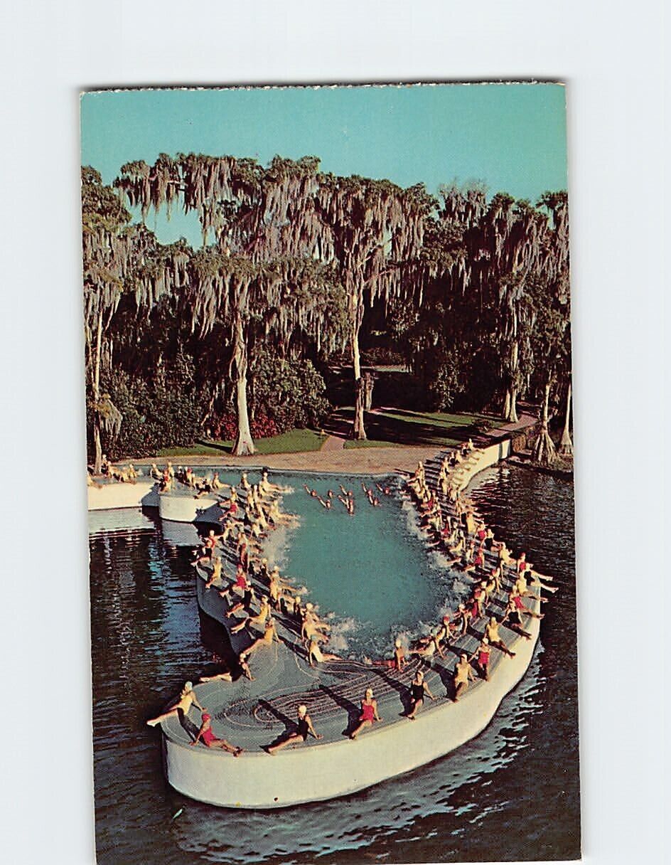 Postcard The Esther Williams Swimming Pool Florida's Cypress Gardens ...