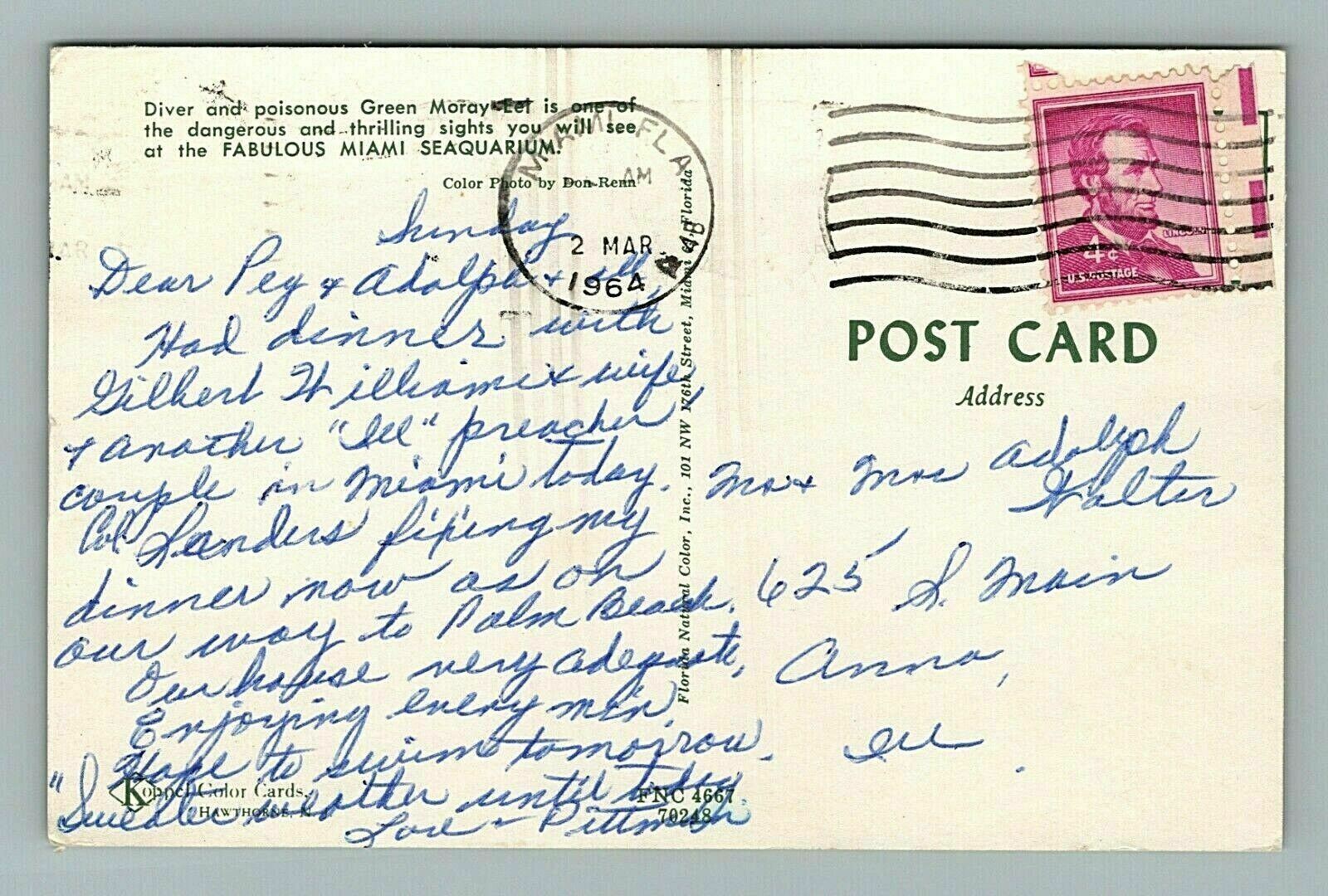 Miami Seaquarium Moray Eel and Diver Tropical Florida FL Postcard ...