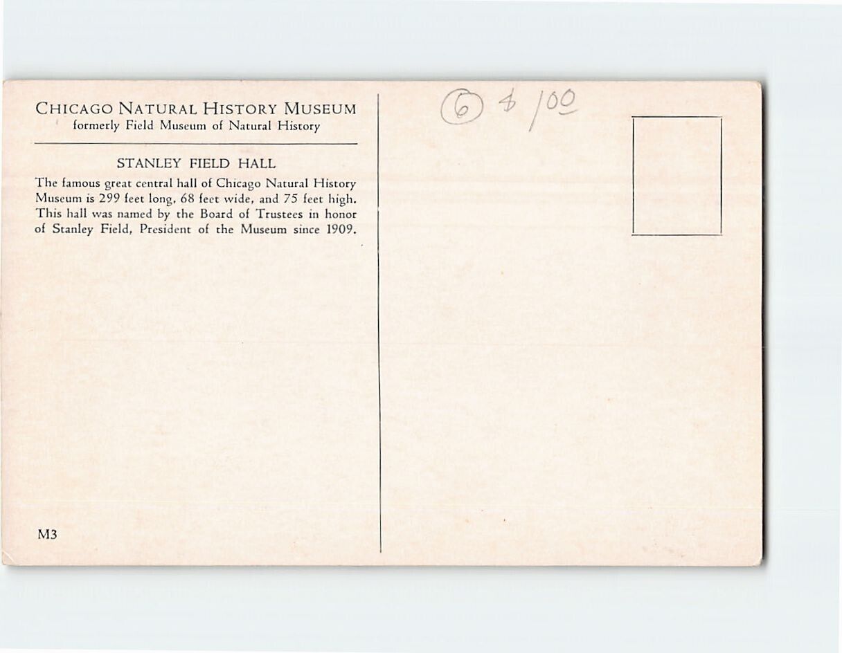 Postcard Stanley Field Hall, Chicago Natural History Museum, Chicago ...