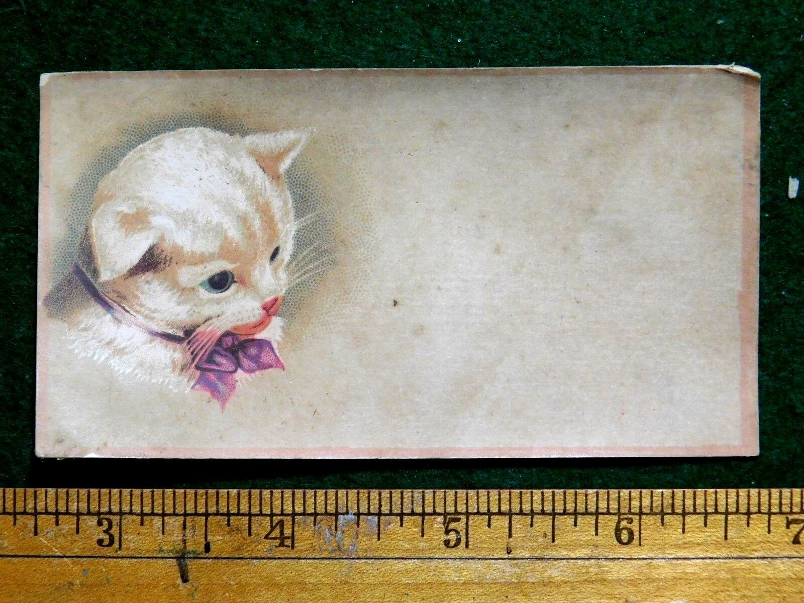 1870s-80s Lovely White Cat With Bow Kitten Cats Victorian Trade Card ...