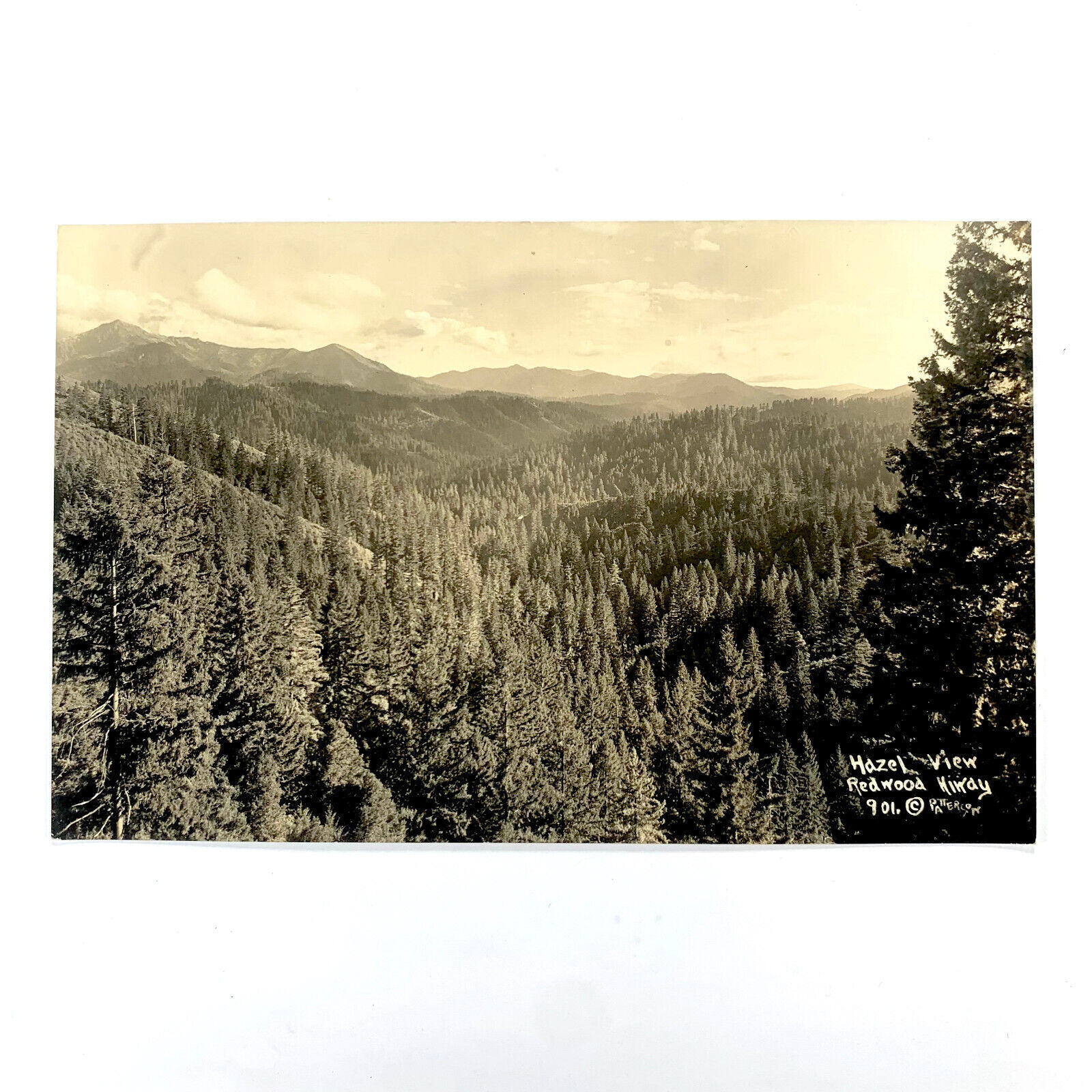 Postcard RPPC California Redwood Highway Hazel View Aerial 1930s ...