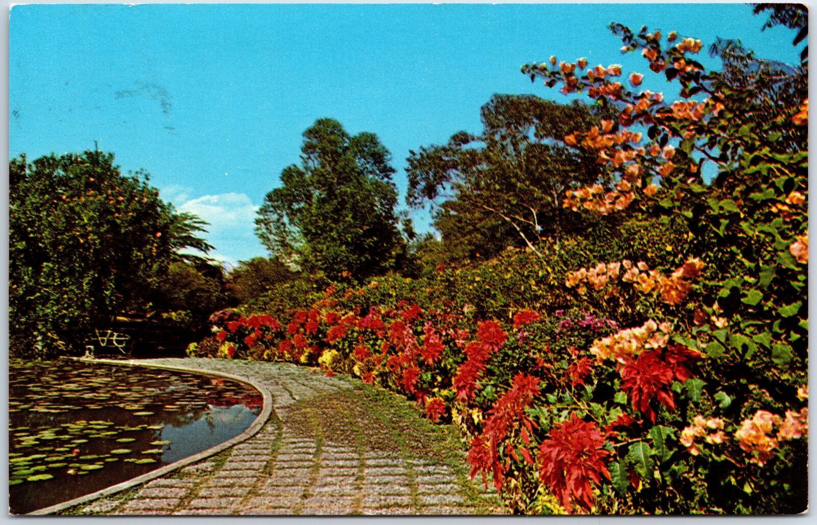 Vintage Continental Sized Postcard Sunken Gardens Royal Botanic Gardens ...