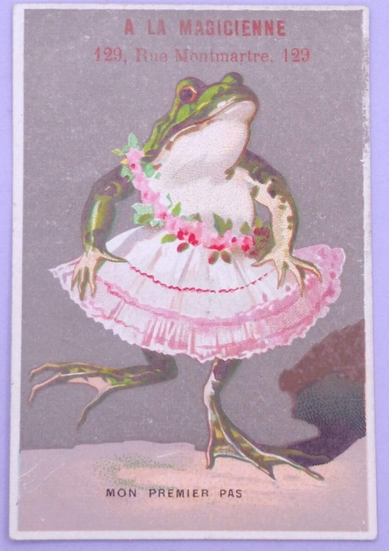 1880s - 1890s Anthropomorphic Dressed Frog As Ballerina Tailor ...