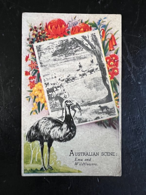 Vintage Australian Postcard- Emu and Wildflowers | Australia & Oceania ...