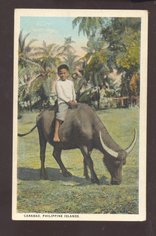 Philippine Islands Carabao BOY Riding Philippines Vintage Postcard ...