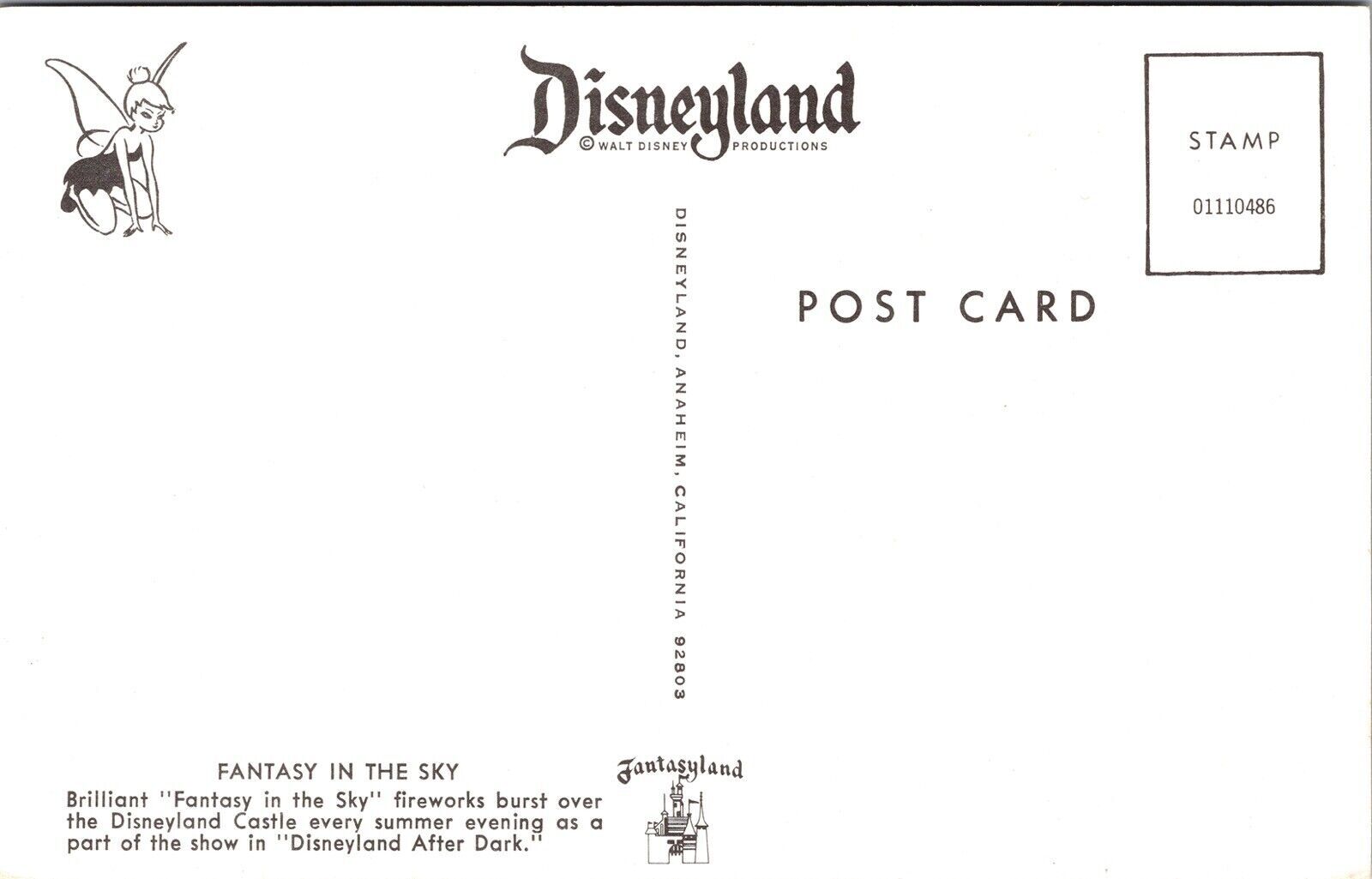 Fantasy Sky Walt Disney World Group PPL Fireworks Disneyland Castle ...