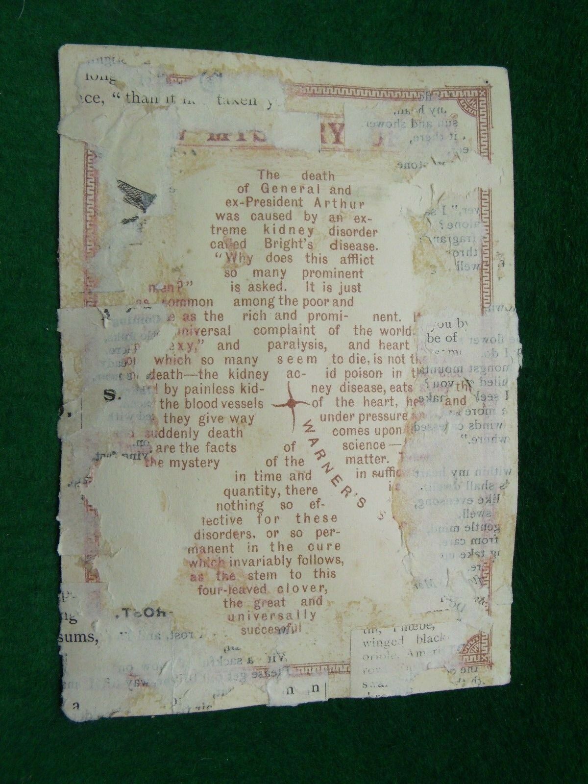 Victorian Trade Card Warner's Safe Yeast Dry-Hop Lovely Girl Easter ...