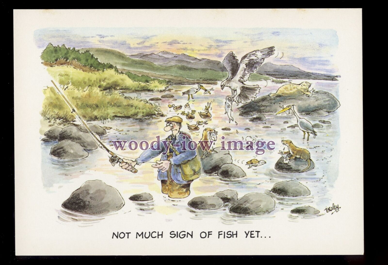 BES059 - Fly Fishing - No sign of any Fish Yet!!! - Besley comic ...