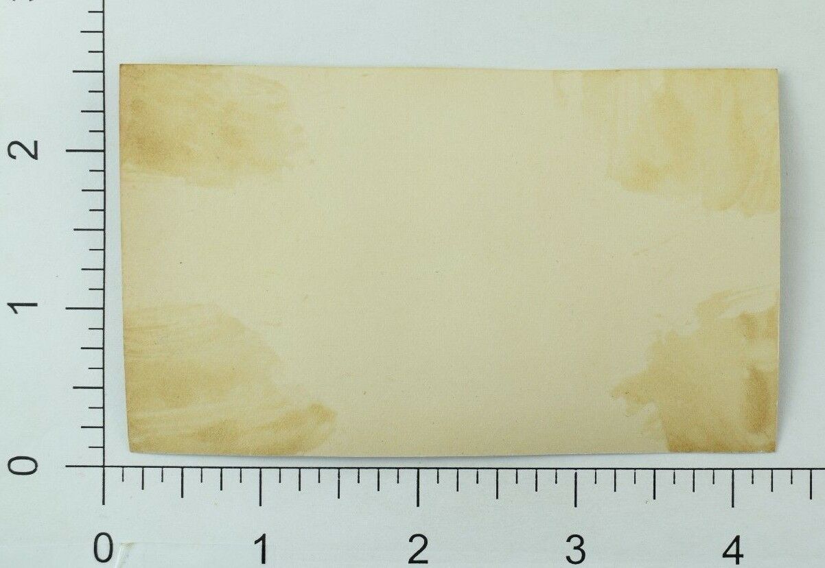 Banner Thomas Mfg. Fishing Tackle Twine Haarlem Oil Image Of Pink Roses ...