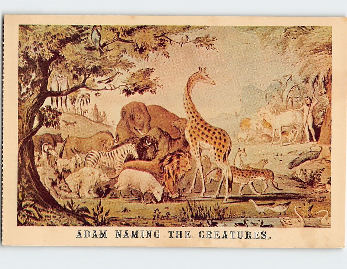 Postcard Adam Naming The Creatures | Other / Unsorted, Postcard ...