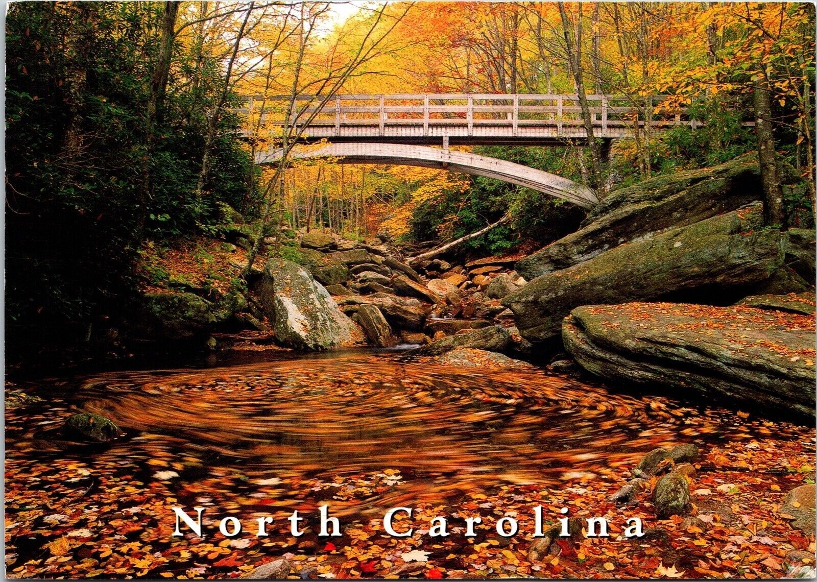 National Forest Nature NC North Carolina Landscape Chrome Postcard WOB ...