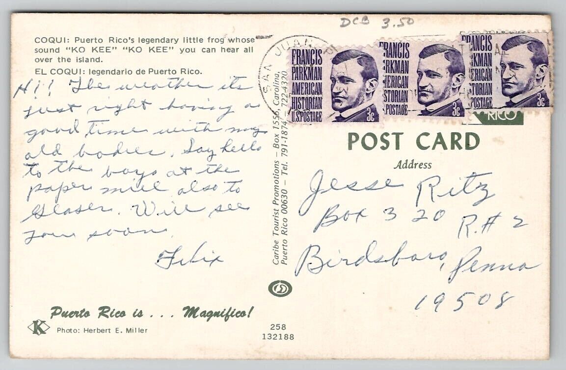 Coqui Puerto Rico Legendary Frog with Unique Ko Kee Sound Postcard C36 ...