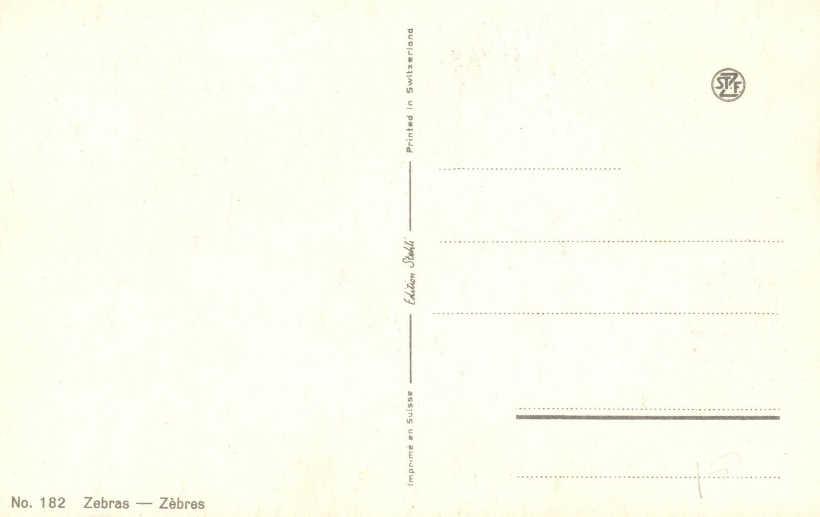 Vintage Postcard Zebras Mother Zebra And Baby In The Zoo Animal Habitat ...