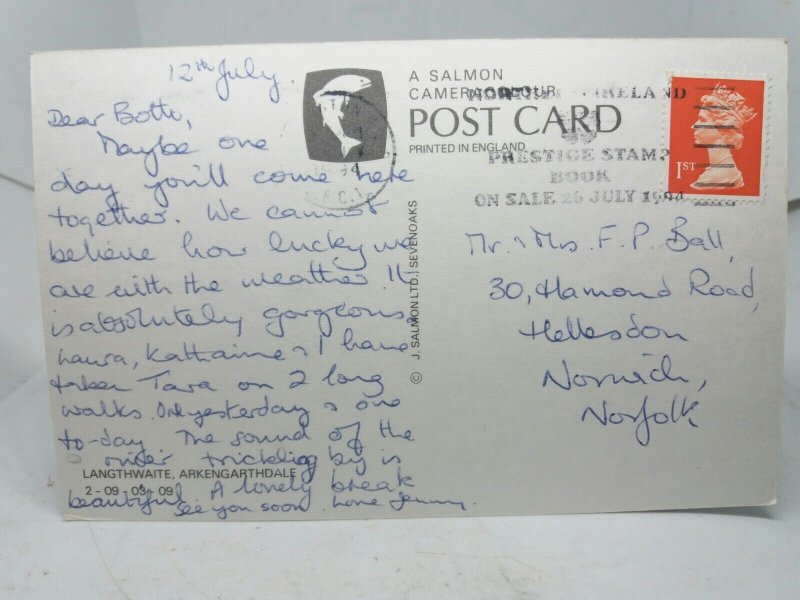 Hillside View Langthwaite Arkengarthdale Yorkshire Dales Vintage Salmon ...