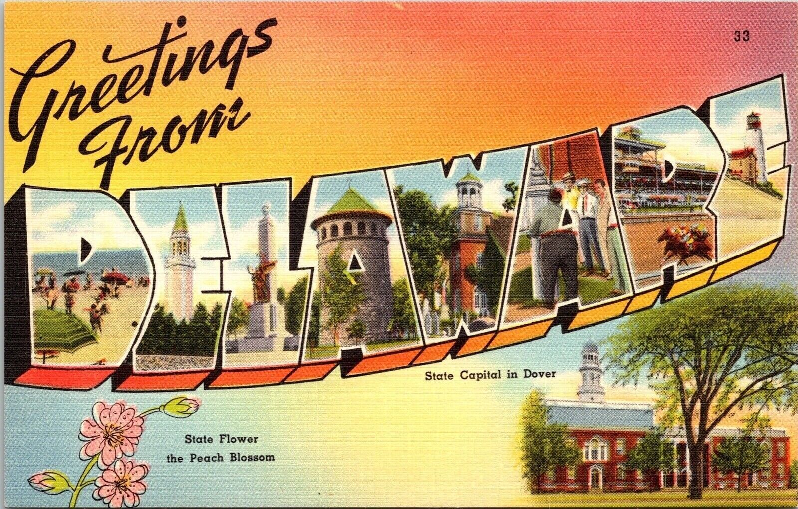 Greetings Delaware Multi Scenes Beach Tower Race Track Lighthouse Moss ...