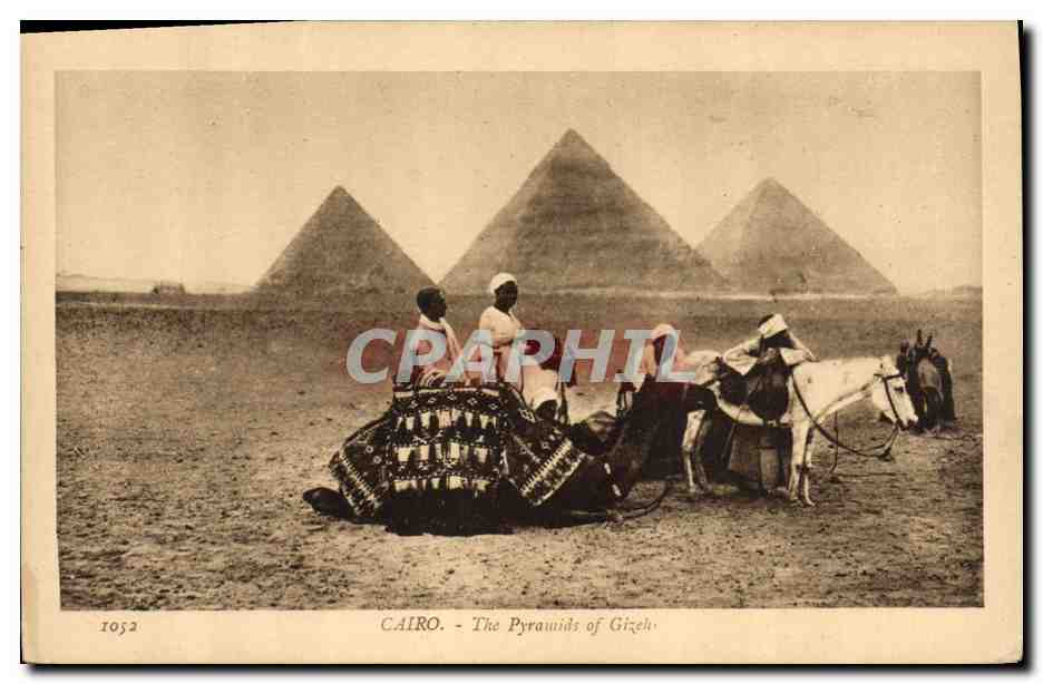 Postcard Ancient Egypt Egypt Cairo The Pyramids of Giza Donkey Mule ...