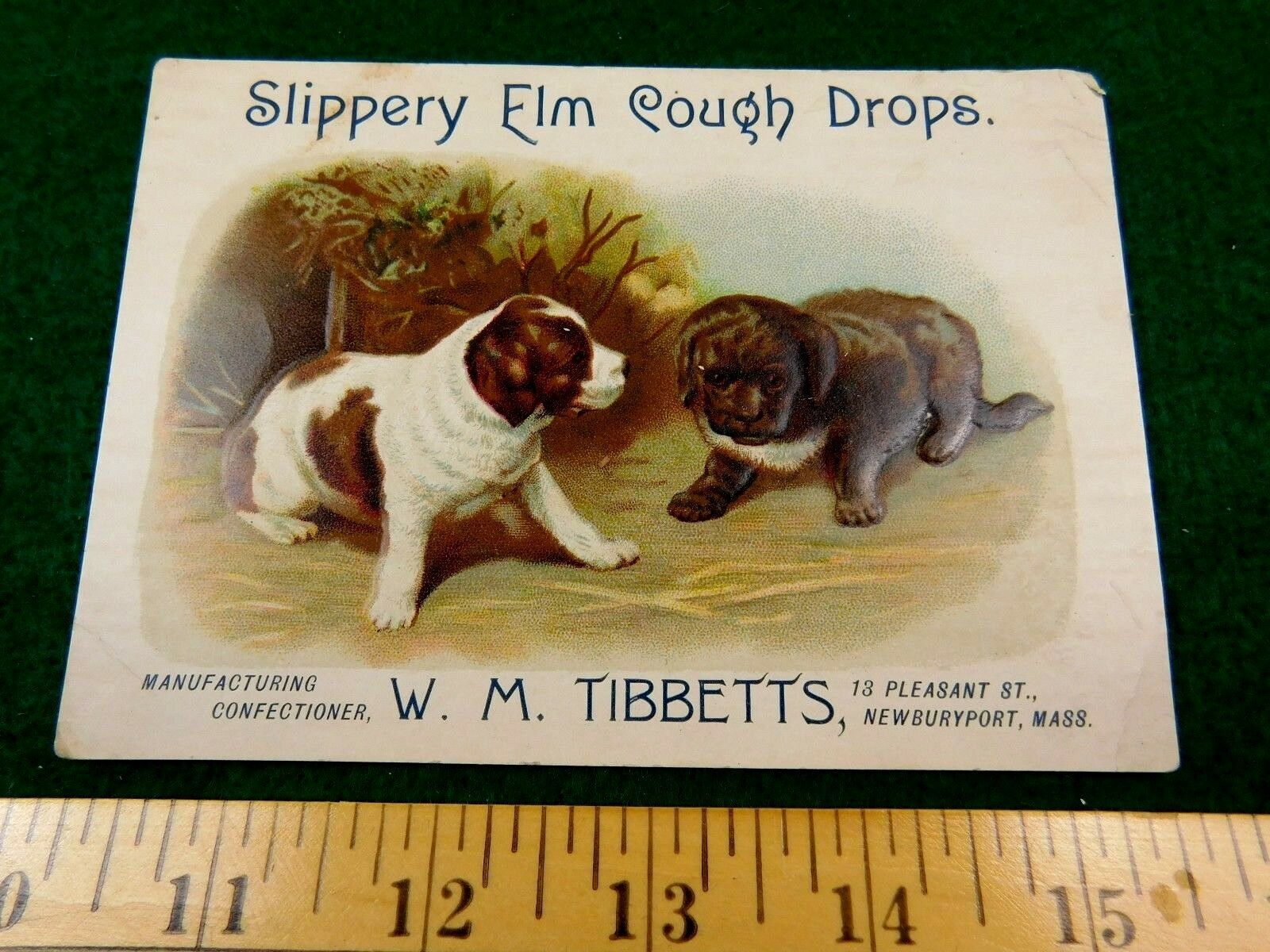 Cute Puppies Dog Slippery Elm Cough Drops, W.M. Tibbetts Candy ...