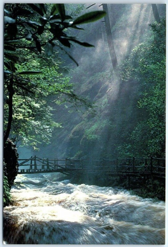 Postcard - The Falls at high water, Bushkill Falls - Bushkill ...