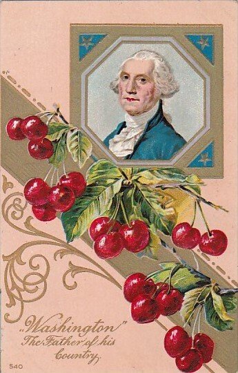 George Washington The Father Of His Country 1911 | United States ...