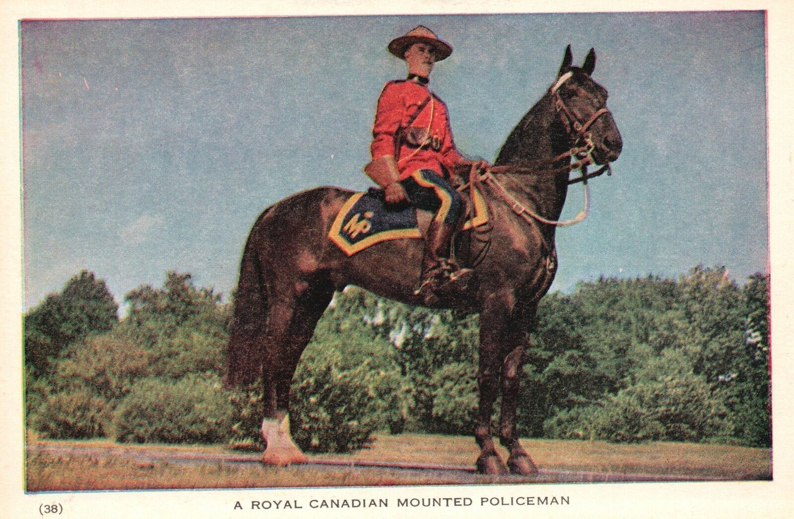 Vintage Postcard 1920's A Royal Canadian Mounted Policeman Montreal ...