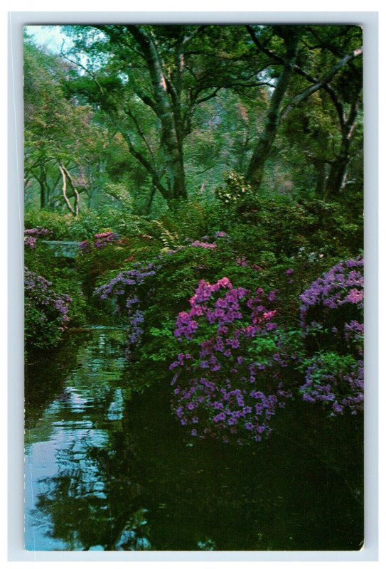 Vintage Lake Park Oakland, California. Postcard P96E | United States ...