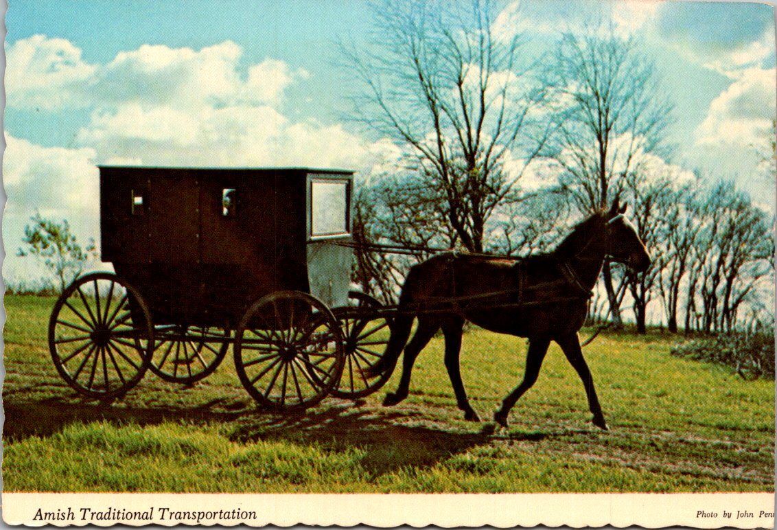 Michigan Amish Country Amish Traditional Transportation Horse and Buggy ...