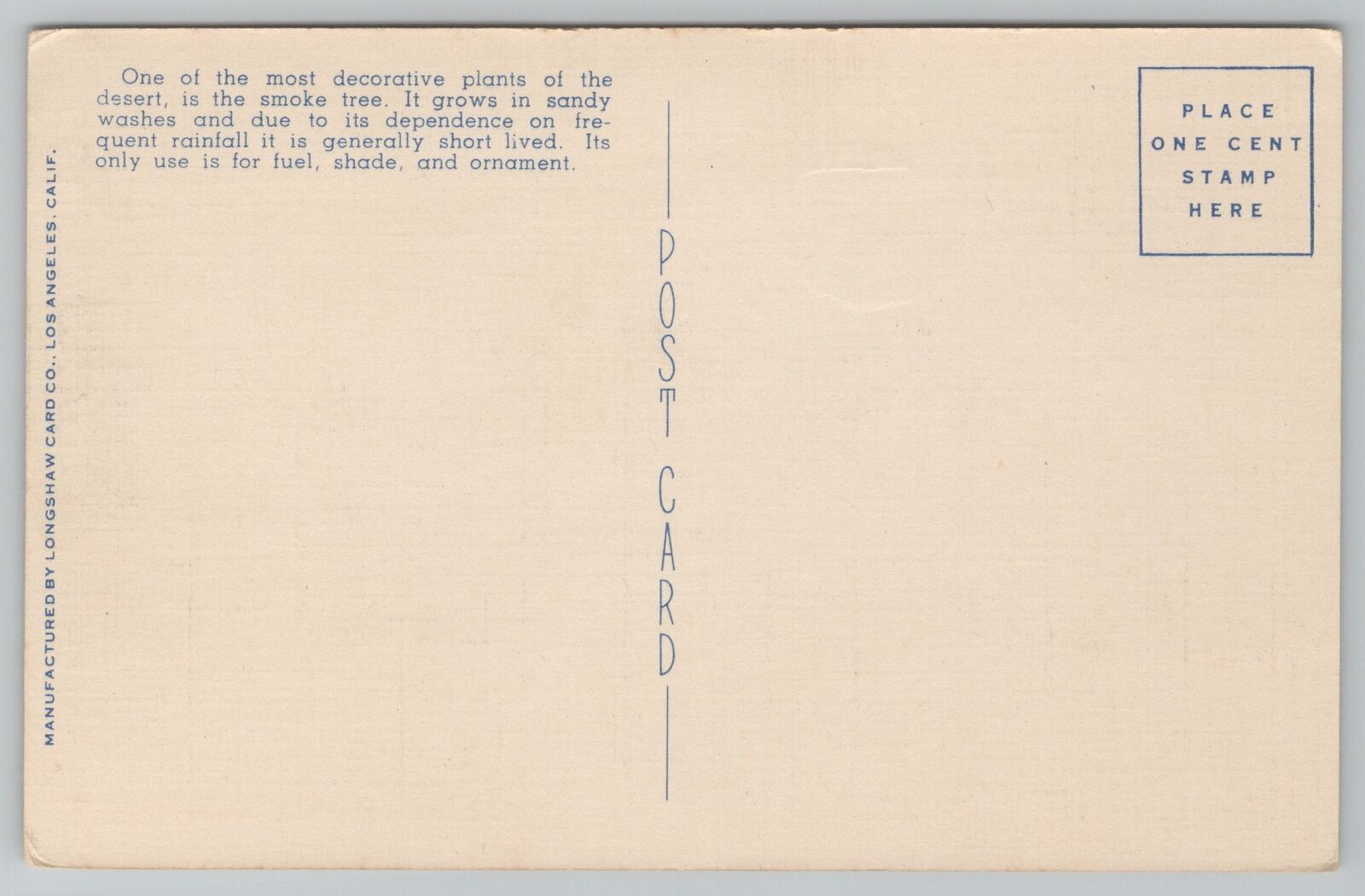 Linen~Picturesque Smoke Tree Of The California Desert~Vintage Postcard ...