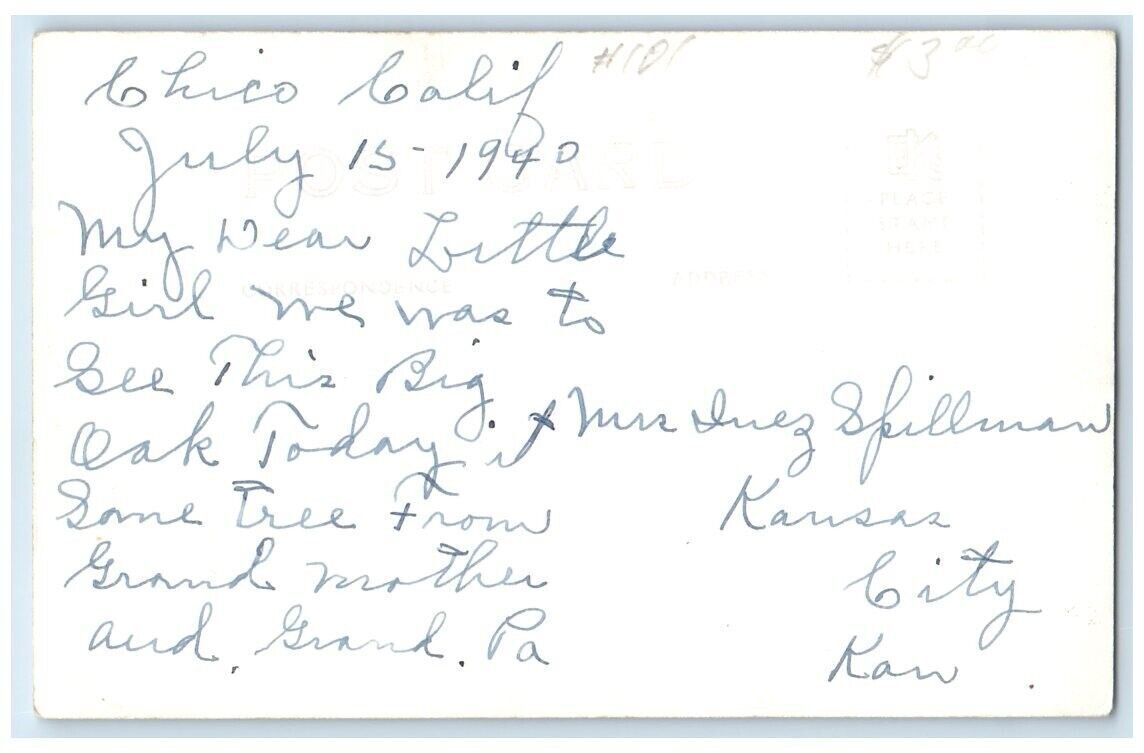 1940 Sir Joseph Hooker Oak Tree 1000 Year Old Chico CA RPPC Photo ...