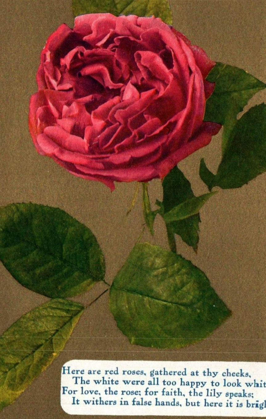 Vintage Postcard-Early 1900s-Rose-Flower-Poem | Other / Unsorted ...