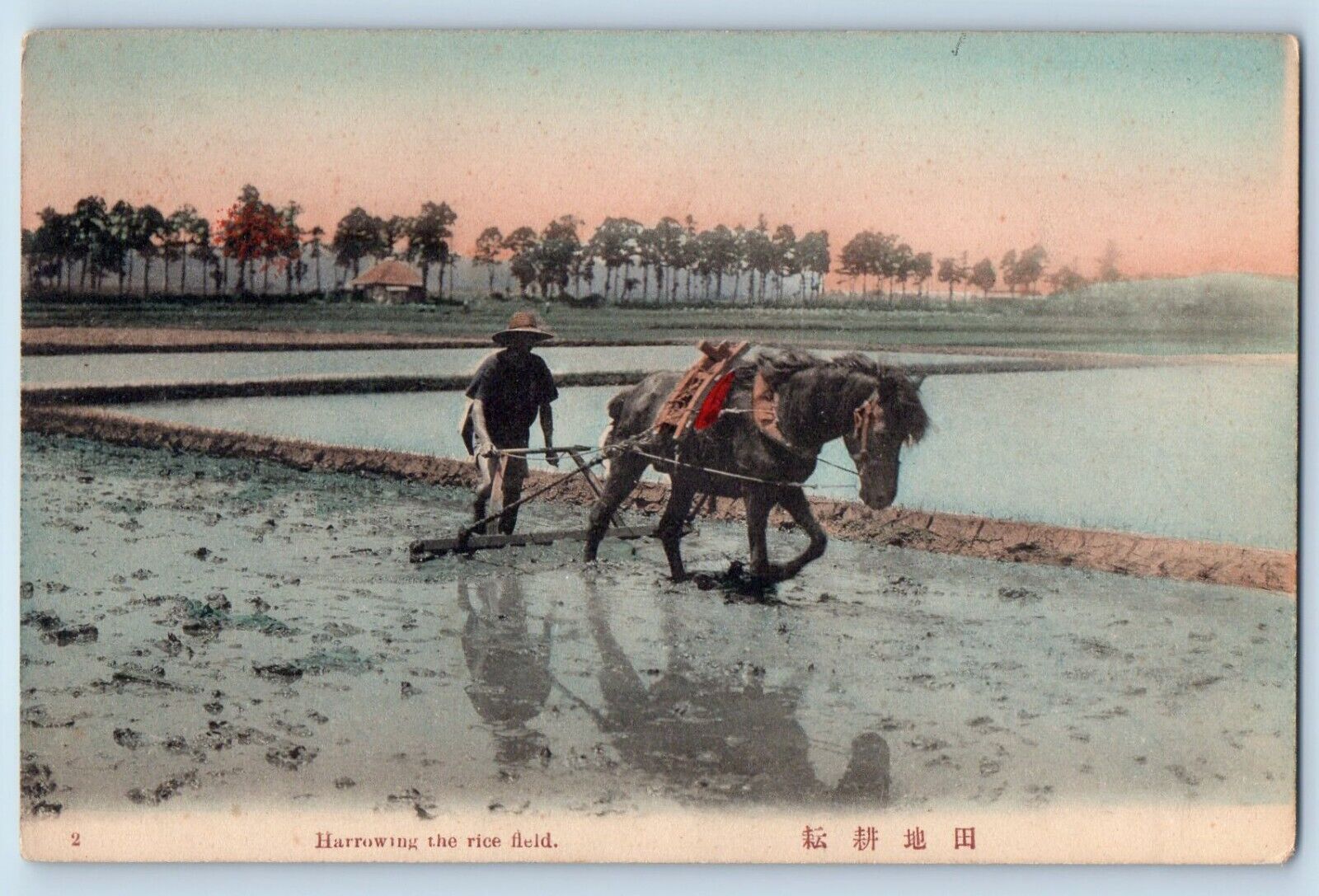 Japan Postcard Harrowing the Rice Field Using Horse Rice Patty c1910 ...