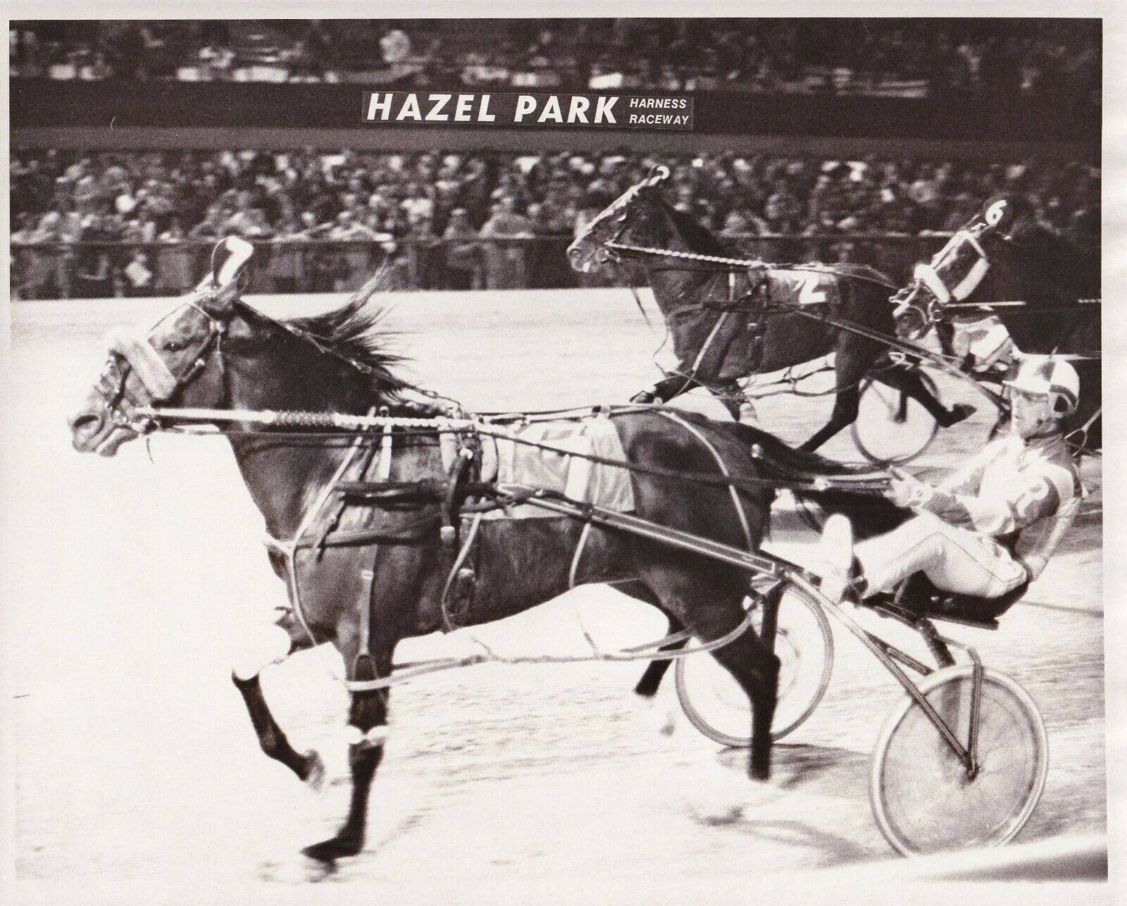 HAZEL PARK RACEWAY, Harness Horse Race, "BEWITCHING DANDY" wins, 1977 ...