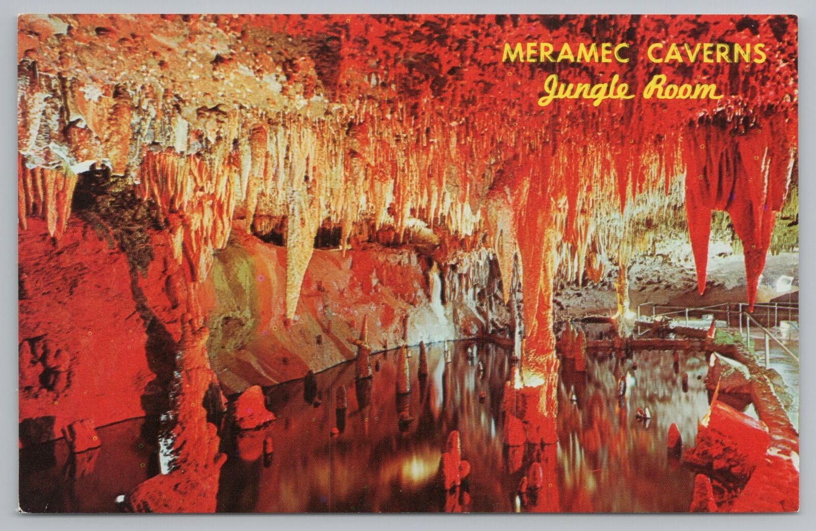 National & State Parks~Meramec Caverns~Jungle Room~Vintage Postcard ...