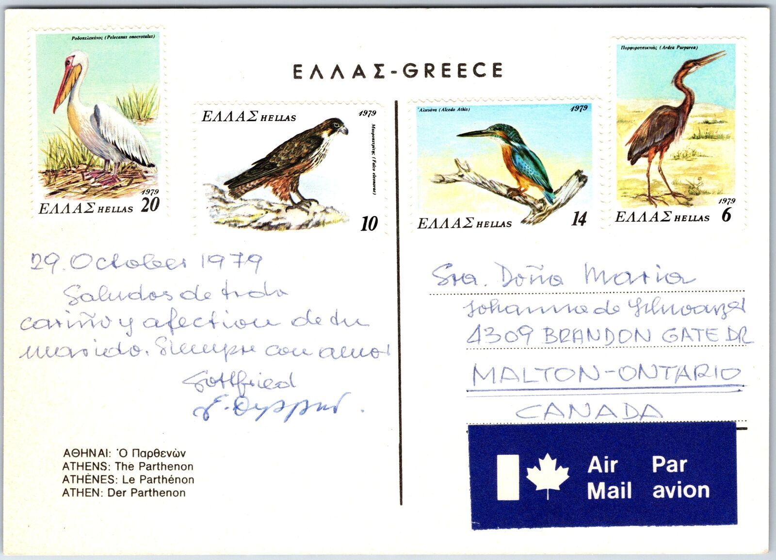 Vintage Continental Sized Postcard the Parthenon Athens Greece Full ...