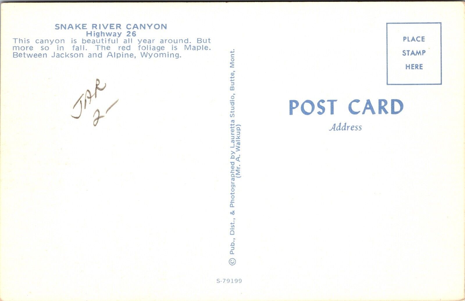 Snake River Canyon Highway 26 Jackson Alpine Wyoming Postcard Pine UNP ...