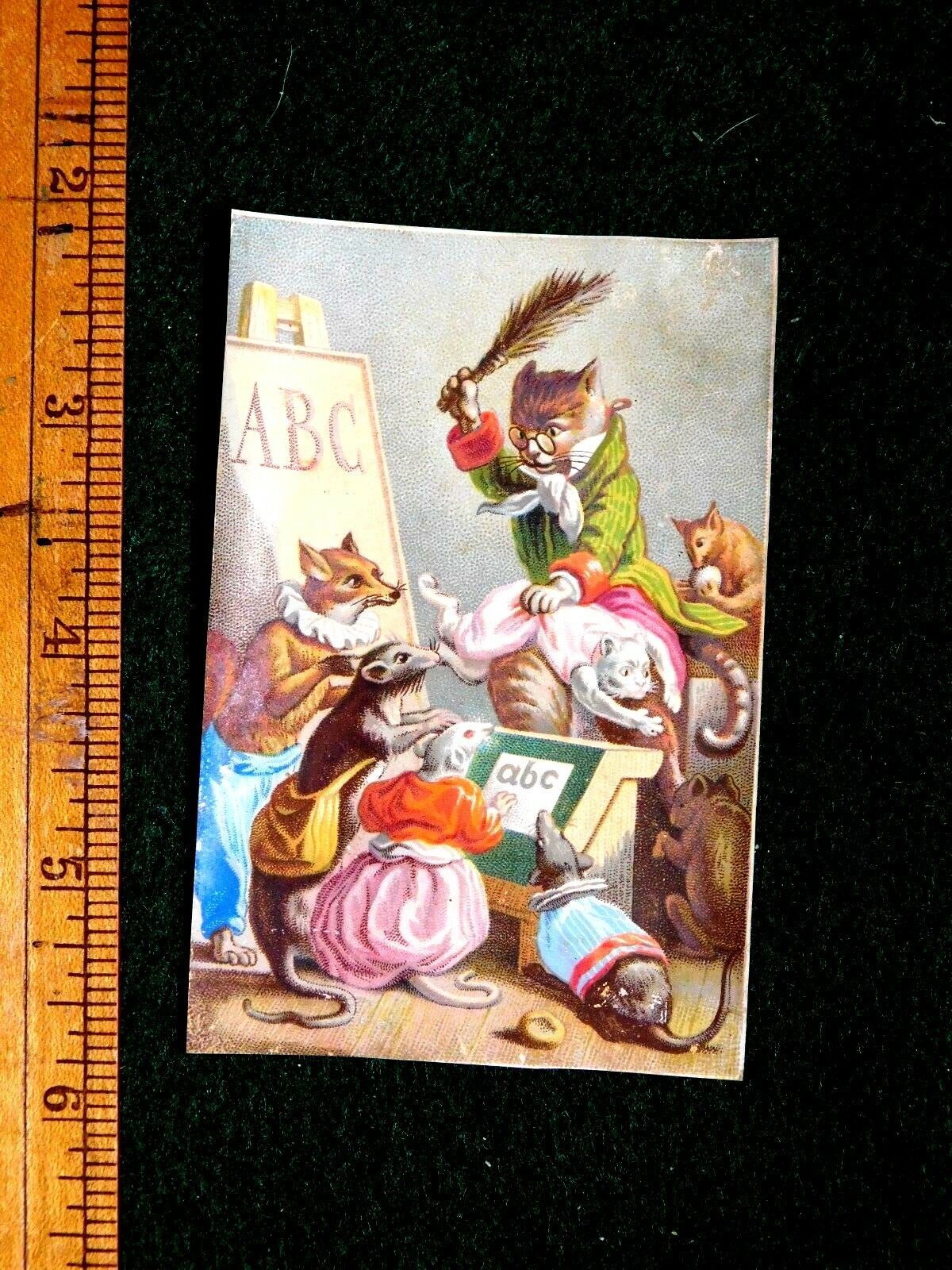 Lovely Fantasy Anthropomorphic Cat Teacher Kittens Rats Teacher School ...