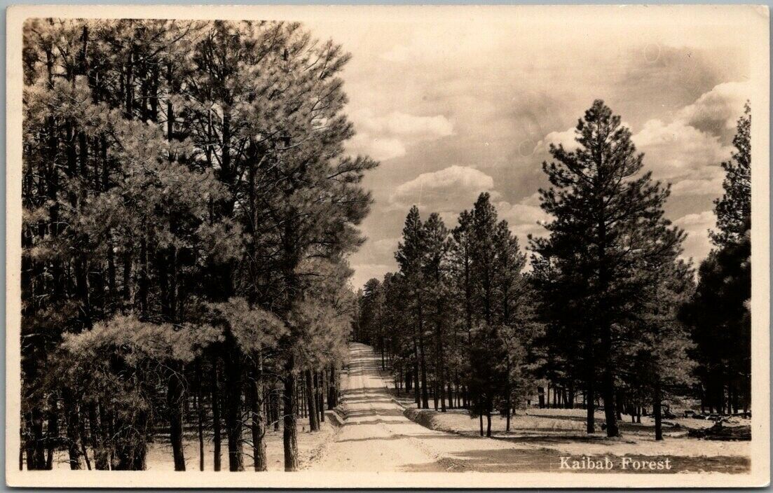 Vintage 1930s Arizona RPPC Real Photo Postcard "Kaibab Forest" Union ...