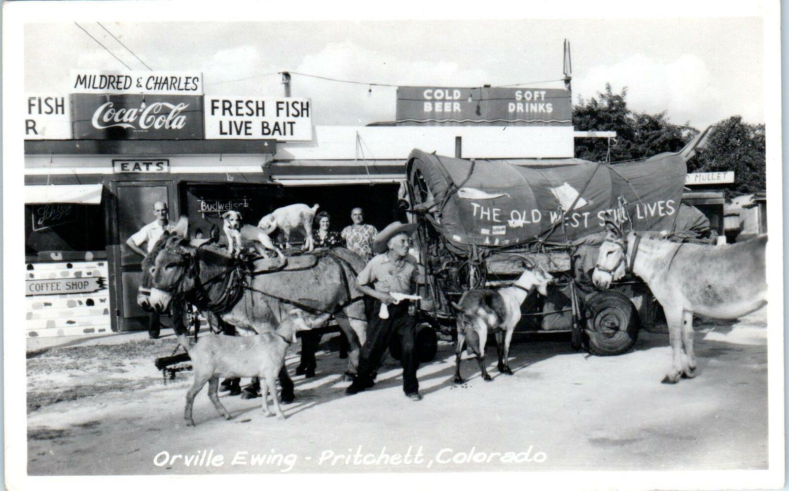 RPPC PRITCHETT, CO Orville Ewing & COVERED WAGON CAFE c1950s Coca Cola ...