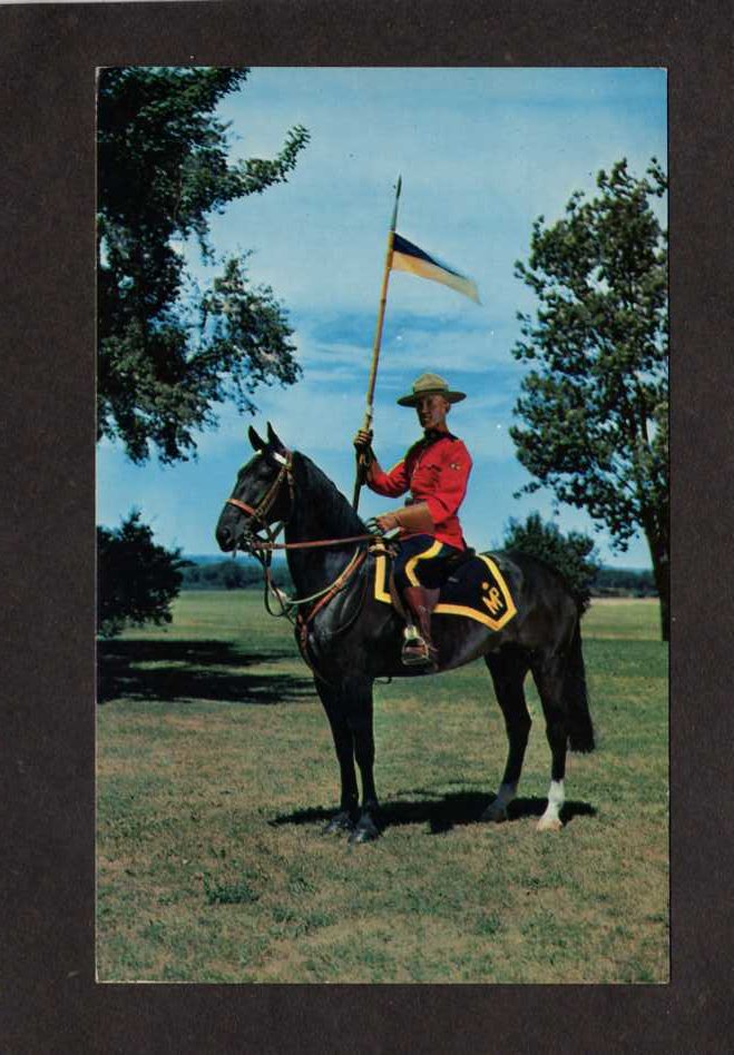 Royal Canadian Mounted Police Horse RCMP Flag Carte Postale Postcard ...