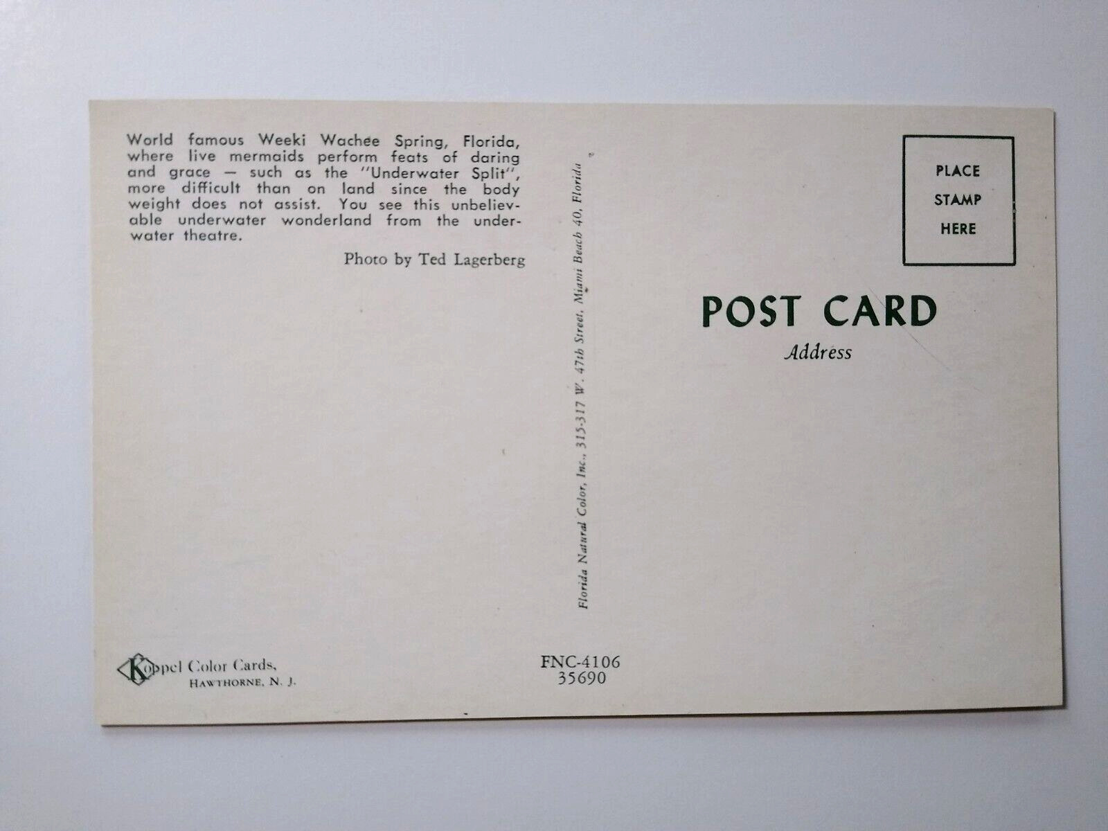 Weeki Wachee Mermaids Florida Postcard Lady Underwater Doing Split Show ...