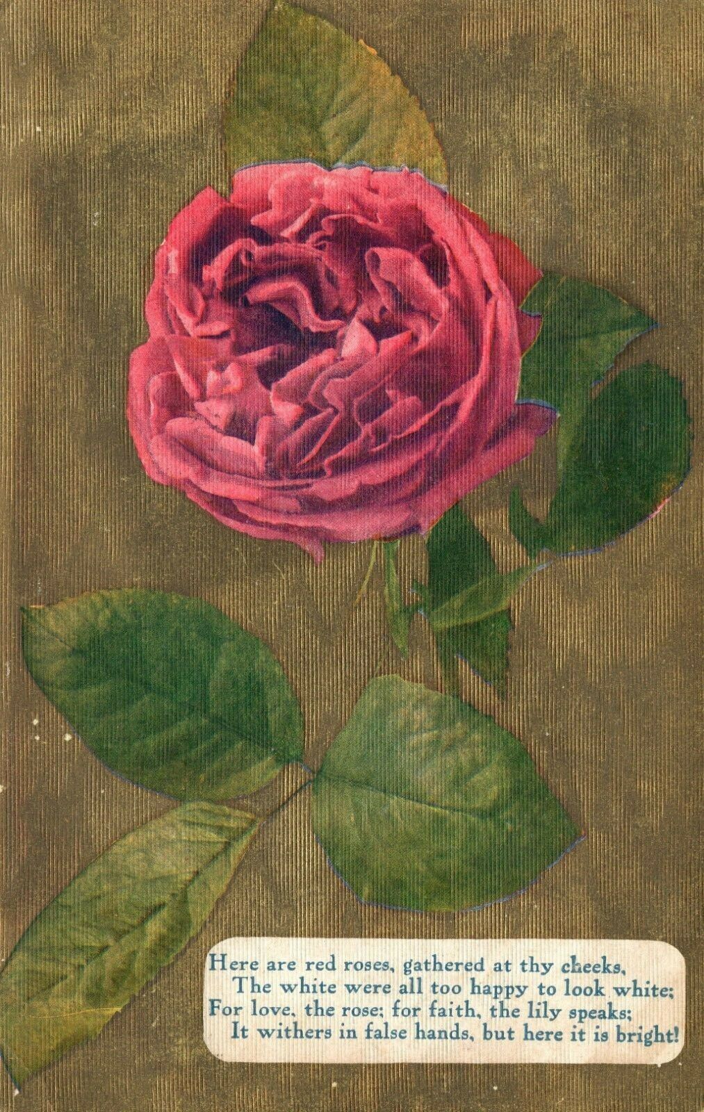 Vintage Postcard 1910 Red Roses Gathered at Thy Cheeks The White were ...