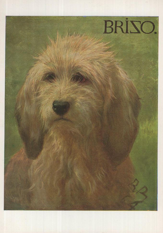 Rosa Bonheur Brizo A Shepherd's Dog Postcard | Topics - Animals - Dogs ...