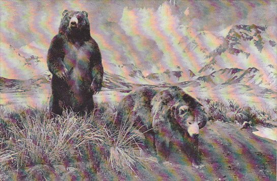 Alaska Brown Bear and The Aghileen Pinnacles American Museum Of Natural ...