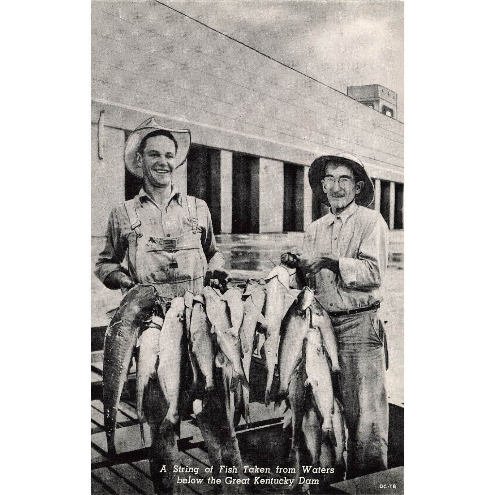 Postcard String of Fish from Waters Below the Great Kentucky Dam ...