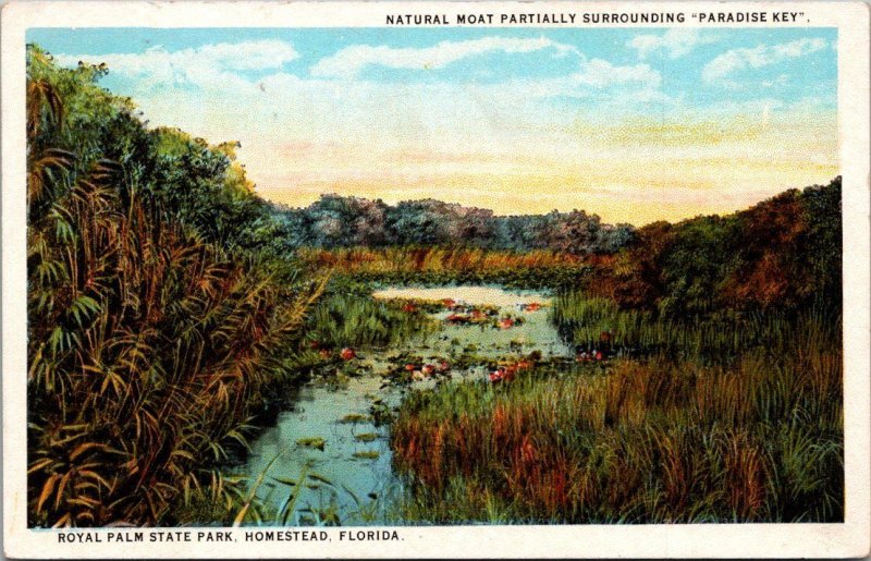 Florida Homestead Royal Palm State Park Natural Moat 1930 Curteich ...