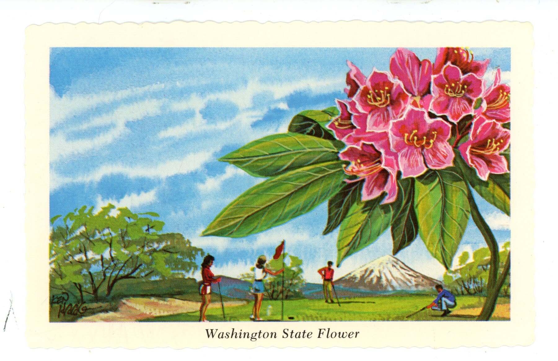 WA - Washington State Flower (Rhododendron) Artist: Ken Haag | United ...