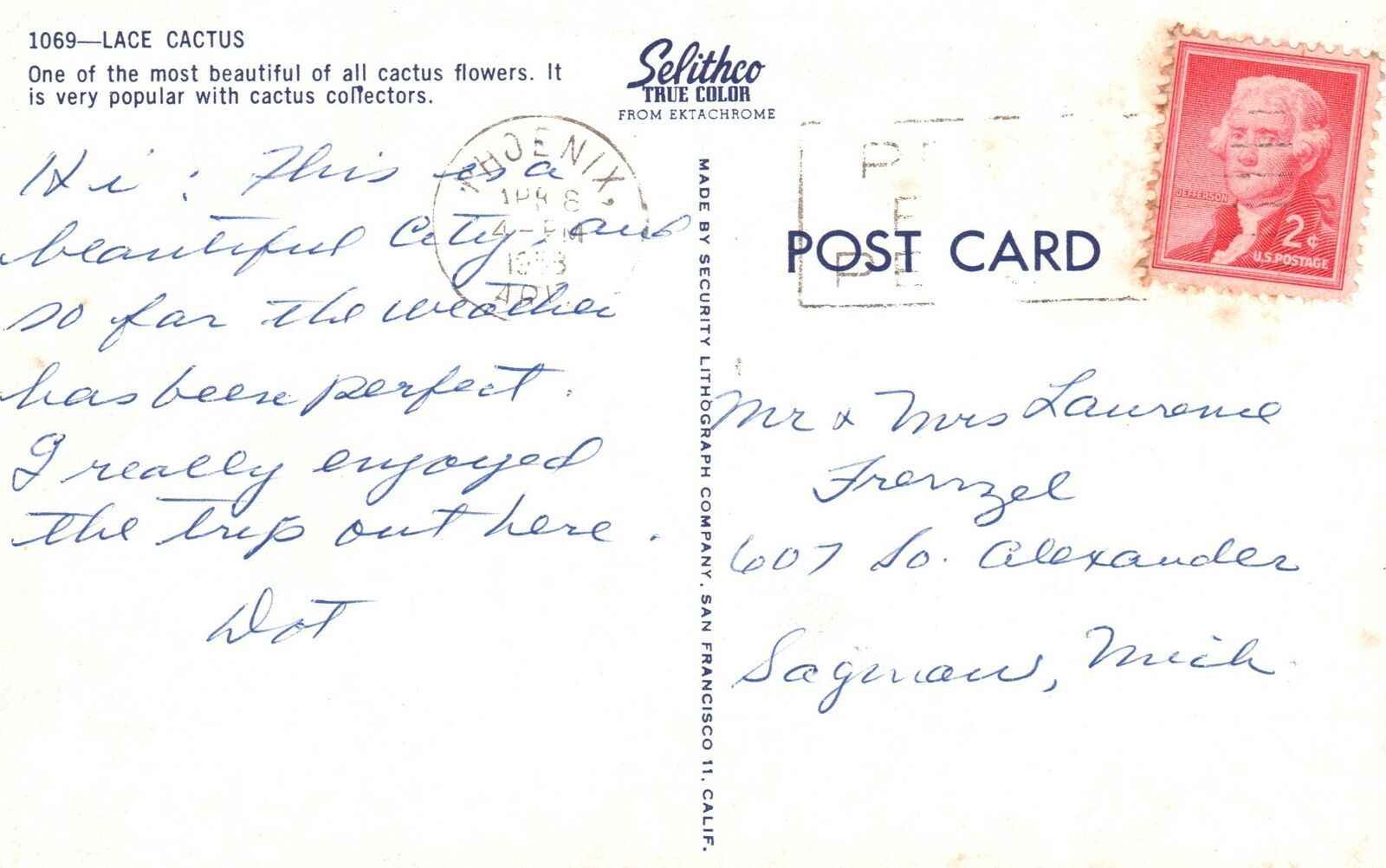 Vintage Postcard 1958 Very Popular Most Beautiful Lace Cactus Flowers ...