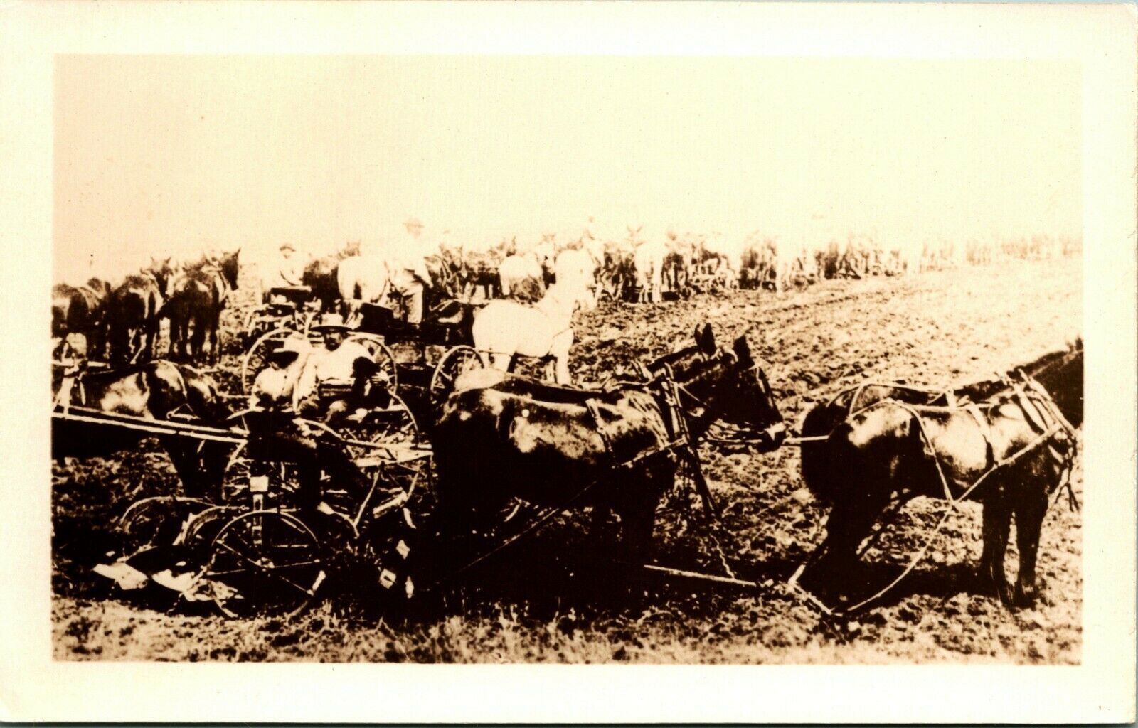 RPPC Farming Scene Antique Farming Equipment Mule Carts JJK Copy-Art ...