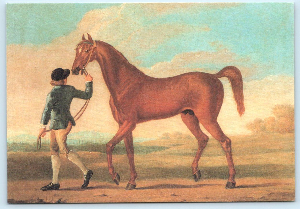Artist RICHARD ROPER ~ Beautiful "THE RACEHORSE REGULUS" 4"x6" Postcard ...