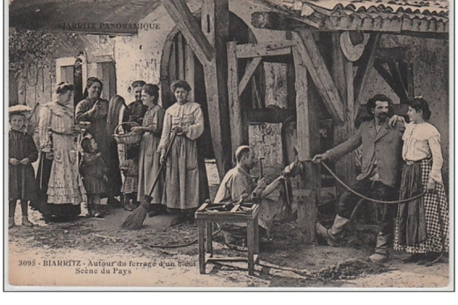 BIARRITZ : le ferrage d'un boeuf - très bon état | Europe - France ...